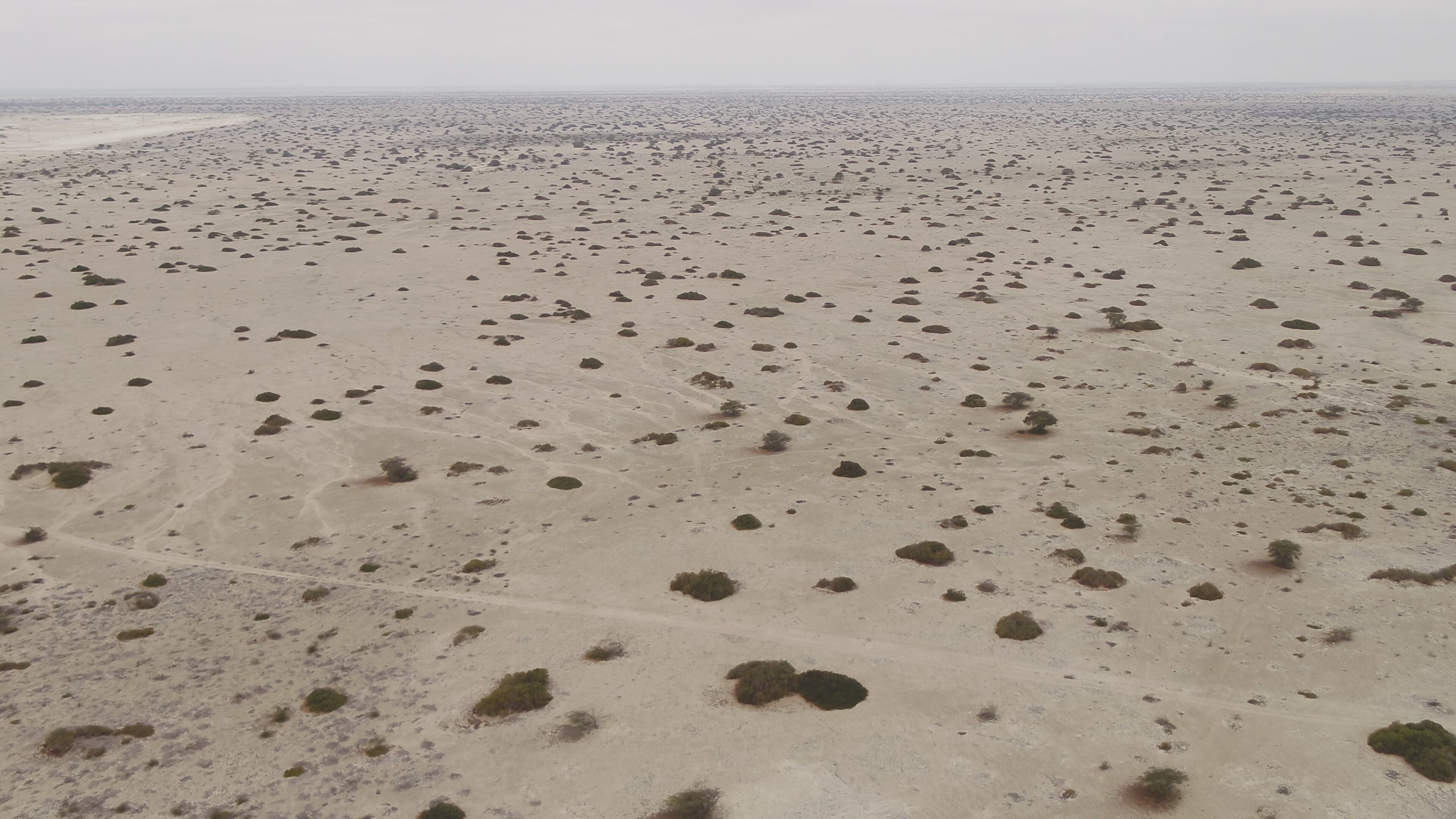 LUPI solar y EMMA eólico: Statkraft Perú adquiere dos proyectos de ...