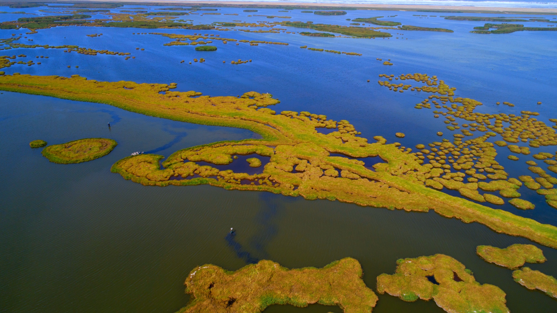 Humedales de Ite, la maravilla ecológica de Tacna que preserva Southern ...